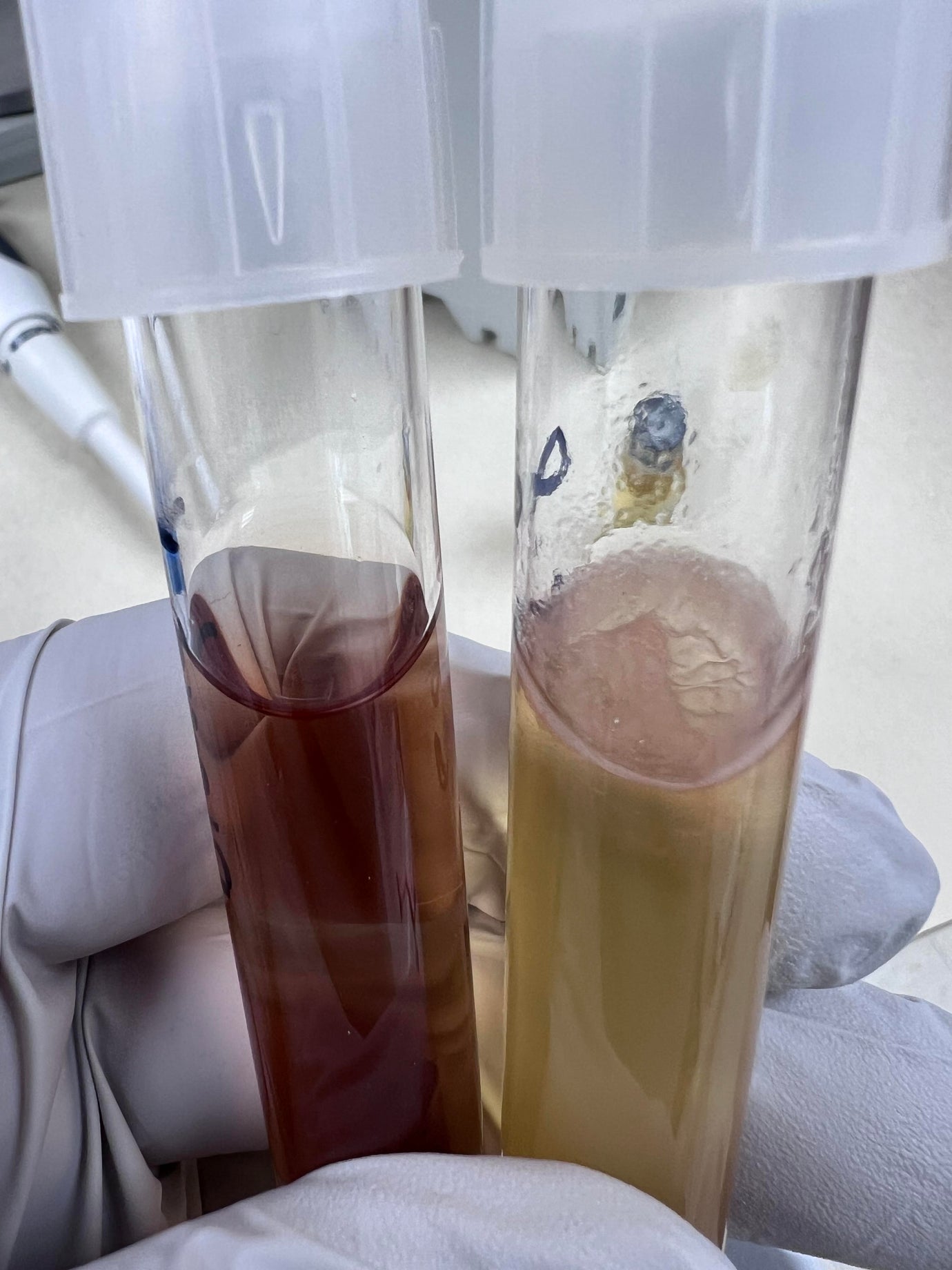 USP Sterility Test – TrustPointe Analytics LLC
